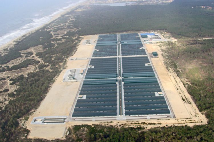 Pescanova, la revolución de la pesca industrial - VigoÉ